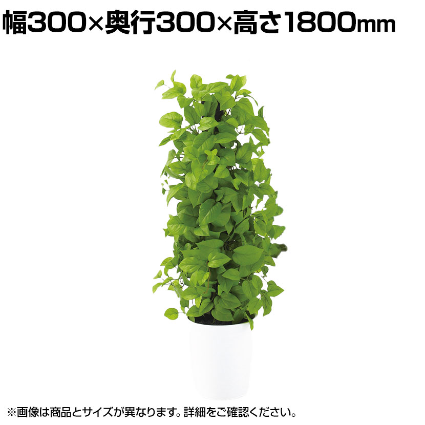 観葉植物 人工樹木 フェイクグリーン 造花 ライムポトスヘゴ 高さ1800mm 鉢:SA-10(WH) 商品について サイズ(本体)外寸 / 幅300×奥行300×高さ1800mm鉢 / 直径285×高さ320mm 材質鉢 / ポリプロピレ...
