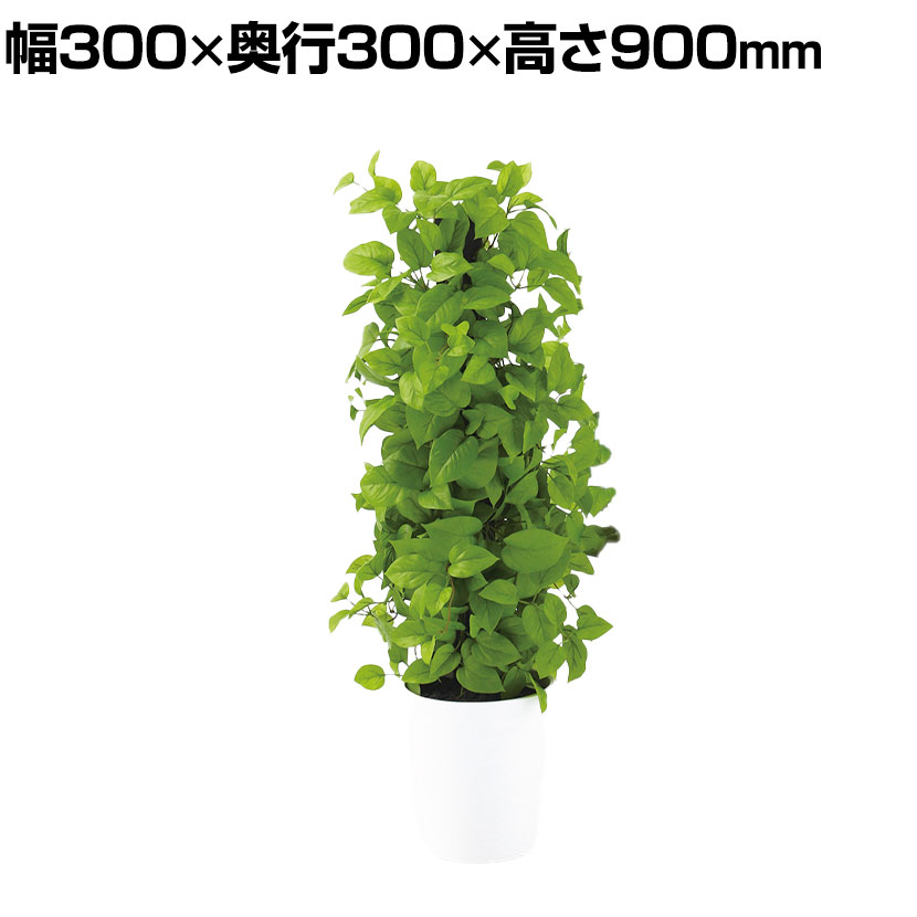 観葉植物 人工樹木 フェイクグリーン 造花 ライムポトスヘゴ 高さ900mm 鉢:SA-7(WH) 商品について サイズ(本体)外寸 / 幅300×奥行300×高さ900mm鉢 / 直径210×高さ228mm 材質鉢 / ポリプロピレン製(...
