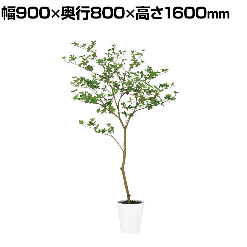 観葉植物 人工樹木 フェイクグリーン 造花 ドウダンツツジ FST 高さ1600mm 鉢:SA-8(WH) 商品について サイズ(本体)外寸 / 幅900×奥行800×高さ1600mm鉢 / 直径238×高さ226mm 材質鉢 / ポリプロ...