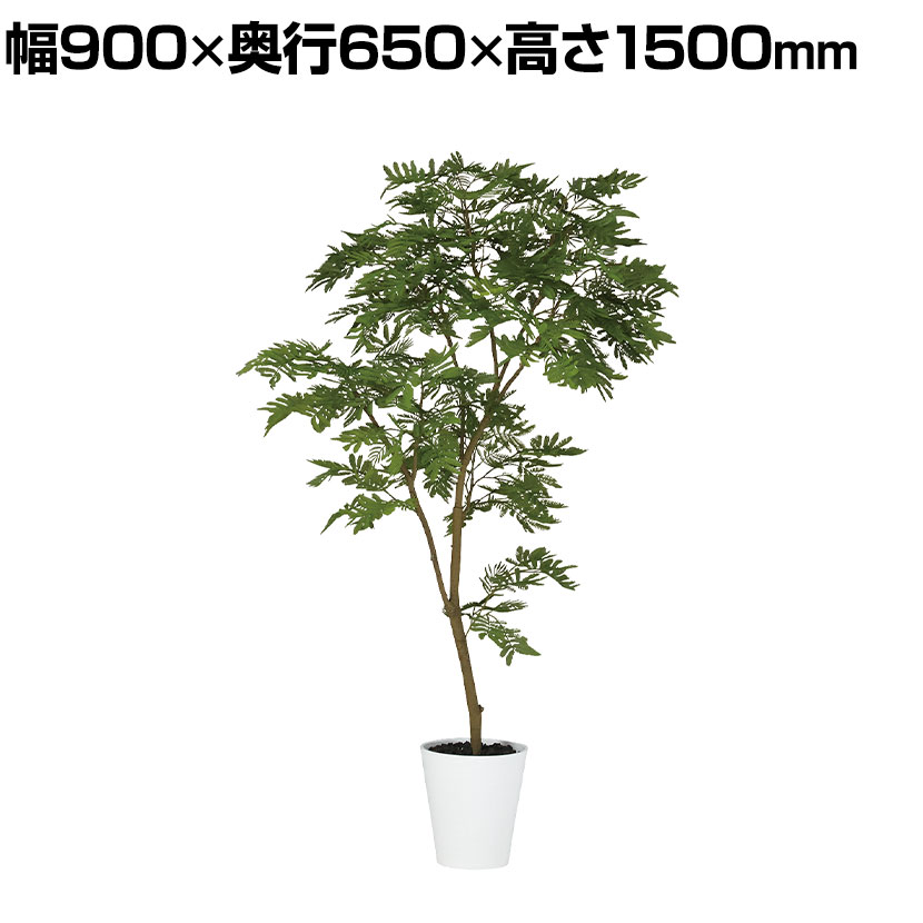 観葉植物 人工樹木 フェイクグリーン 造花 エバーフレッシュ FST 高さ1500mm 鉢:SA-8(WH) ・ネムノキの仲間である「エバーフレッシュ」。・二つの濃淡が異なる葉を使用し、無造作な樹木本来の姿を表現しています。 商品について ...