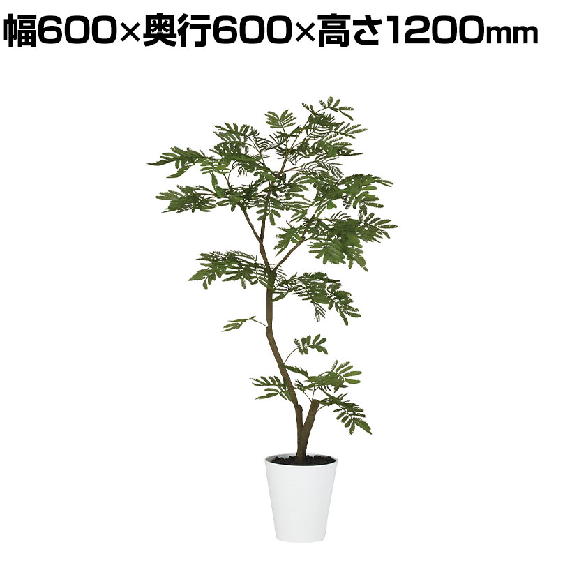 観葉植物 人工樹木 フェイクグリーン 造花 エバーフレッシュ FST 高さ1200mm 鉢:SA-7(WH) ・ネムノキの仲間である「エバーフレッシュ」。・二つの濃淡が異なる葉を使用し、無造作な樹木本来の姿を表現しています。 商品について ...