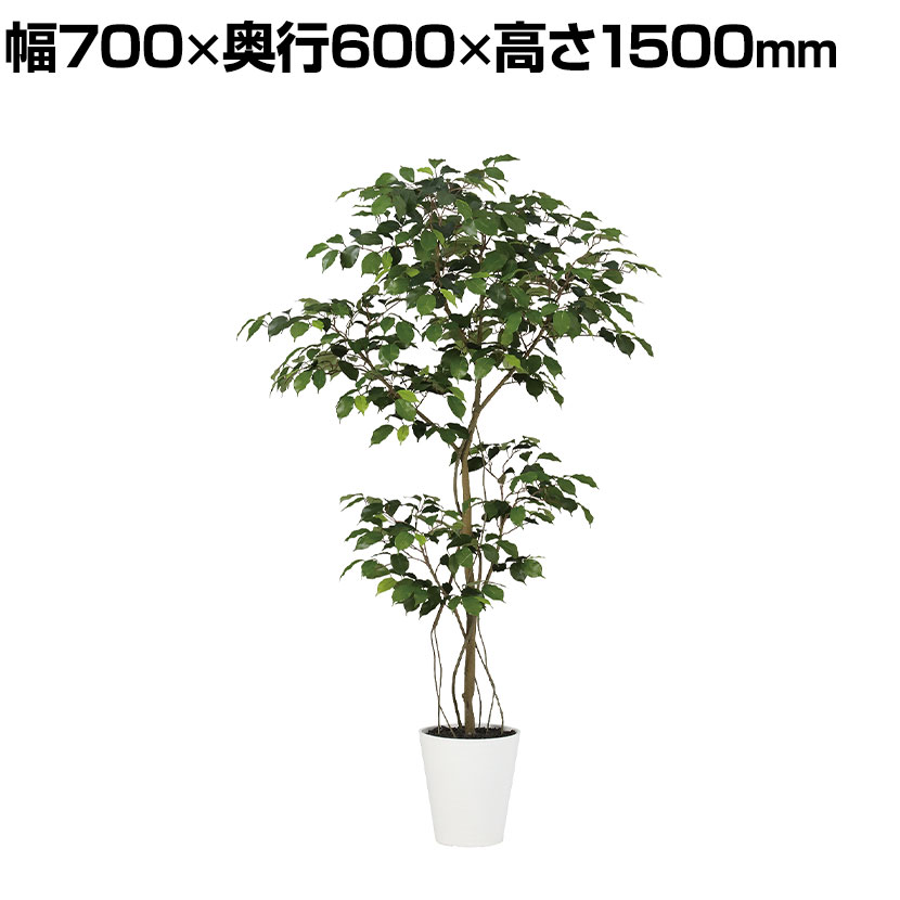 観葉植物 人工樹木 フェイクグリーン 造花 ベンジャミン FST 高さ1500mm 鉢:SA-8(WH) 商品について サイズ(本体)外寸 / 幅700×奥行600×高さ1500mm鉢 / 直径238×高さ226mm 材質鉢 / ポリプロピ...