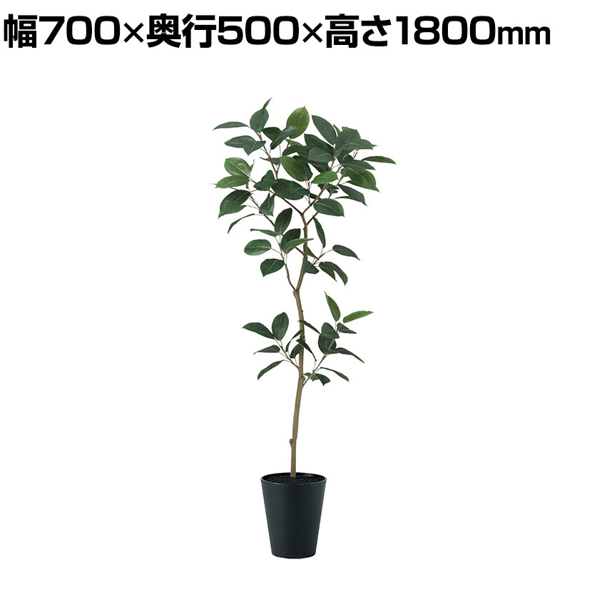 観葉植物 人工樹木 フェイクグリーン 造花 デコラゴム FST 高さ1800mm 鉢:SA-10(BK) インドゴムの園芸品種「デコラゴム」。瑞々しい緑色です。 商品について サイズ(本体)外寸 / 幅700×奥行500×高さ1800mm鉢...