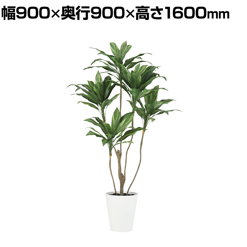 観葉植物 人工樹木 フェイクグリーン 造花 コルディリネ 高さ1600mm 鉢:SA-10(WH) 「コルディリネ」は幅広で白いラインが入った美しい葉が特長です。 商品について サイズ(本体)外寸 / 幅900×奥行900×高さ1600mm...