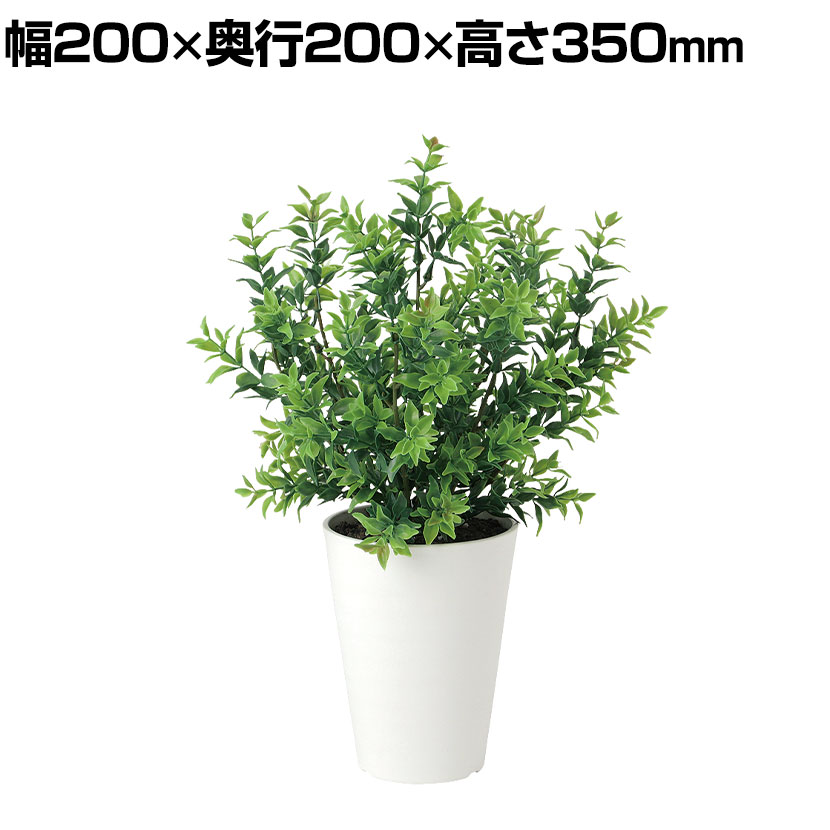 観葉植物 人工樹木 フェイクグリーン 造花 ボックスウッド 高さ350mm 鉢:SA-4(WH) 卓上 卓上サイズの置き型植栽です。 商品について サイズ(本体)外寸 / 幅200×奥行200×高さ350mm鉢 / 直径116×高さ150m...