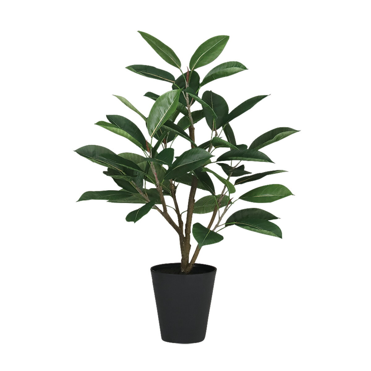 商品情報 ◆商品名：【 光触媒加工 デコラゴム FST 】 ◆サイズ：【 W60 × D55 × H80cm 】 ◆器：【 SA-6 (BK) 】 ポリプロピレン製（サンド仕上） ※メーカー（TOKA）オリジナルの人工幹は、 　リアルを追求...