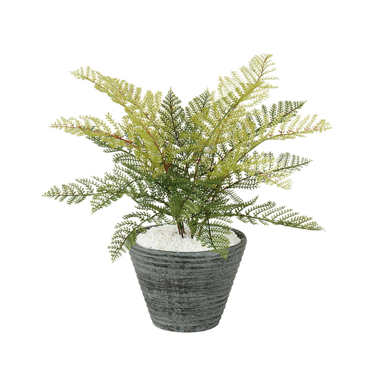 商品情報 ◆商品名：【 フェザーファン 】 ◆サイズ：【 W40 × D40 × H30cm 】 ◆器：【 PラウンドS(BK) 】 ペーバーマッシュ（ストーン仕上） 関連商品 高さ 通常商品 光触媒加工 H30cm Click Click...