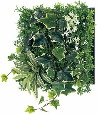 Point！ 　スチール家具にカンタンに取り付けできるマグネット付きグリーンパネル！ ■特長 身の回りのスチールパーテーションやスチール家具を有効活用し、 場所をとらず手軽に緑化できます。 マグネット付きなので誰でもカンタンに取り付けできま...