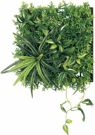 Point！ 　スチール家具にカンタンに取り付けできるマグネット付きグリーンパネル！ ■特長 身の回りのスチールパーテーションやスチール家具を有効活用し、 場所をとらず手軽に緑化できます。 マグネット付きなので誰でもカンタンに取り付けできま...