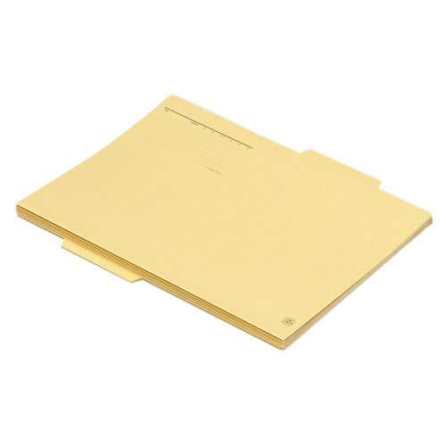 商品名 個別フォルダー FL-069IF A3E 黄 10枚 商品番号 FL-069IFYL(10) 仕様 ■個別フォルダー■規格：A3－E■10枚入■材質：ファイルカード紙■外形寸法：縦320×横428mm■見出し部分：15mm■ファスナ...