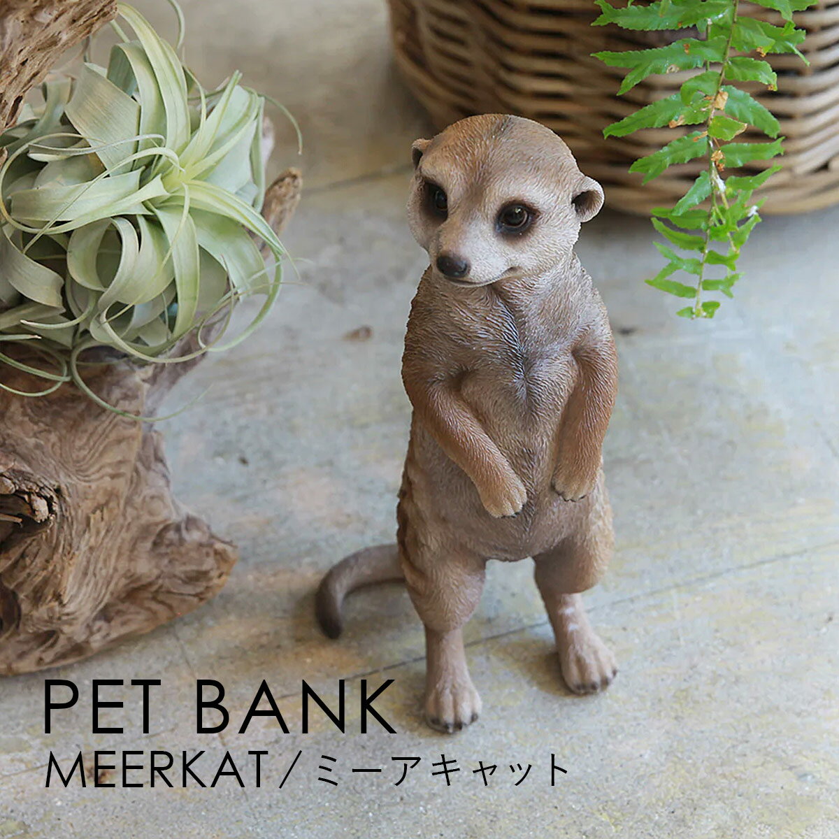 ↓↓ PET BANKシリーズ一覧 ↓↓ シリーズ名 PET BANK（ペットバンク）シリーズ 商品名 MEERKAT（ミーアキャット） サイズ W100×H270×D103 mm 素材 ポリレジン 重量 540g 製造国 中国 ご注意 素...