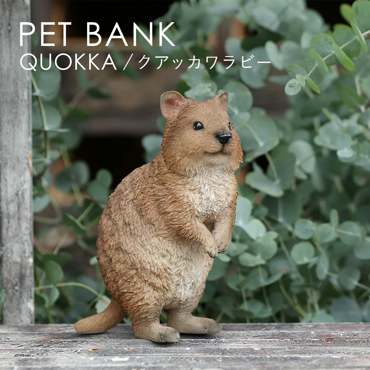 ↓↓ PET BANKシリーズ一覧 ↓↓ シリーズ名 PET BANK（ペットバンク）シリーズ 商品名 QUOKKA（クアッカワラビー） サイズ W84×H175×D150 mm 素材 ポリレジン 重量 410g 製造国 中国 ご注意 素材...