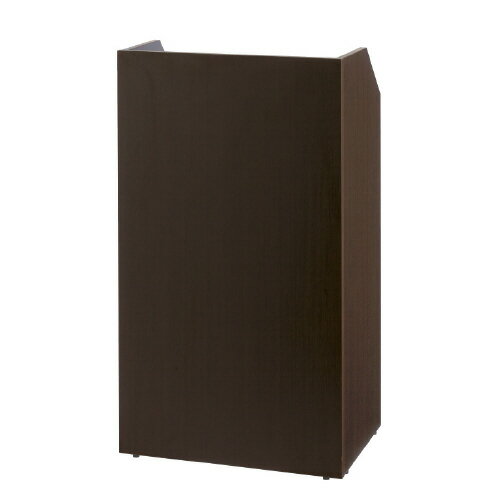 プレゼン、セミナー、説明会などに欠かせない講演台。／ダークタイプ。2色展開で空間の雰囲気に合わせてお選びいただけます。上段には配線穴付です。 ●外形寸法（幅）[mm]：600 ●外形寸法（奥）[mm]：400 ●外形寸法（高）[mm]：11...