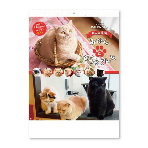 動物たちのいきいきとした表情が楽しめるカレンダーです。　 SNSで大人気！「みかんとじろうさんち」の可愛い7匹の猫カレンダー！　 みかんとじろうさんち ブリティッシュショートヘアのじろうさんと、姉弟のみかんちゃん、 ぽてと、てんぷら、あんみ...