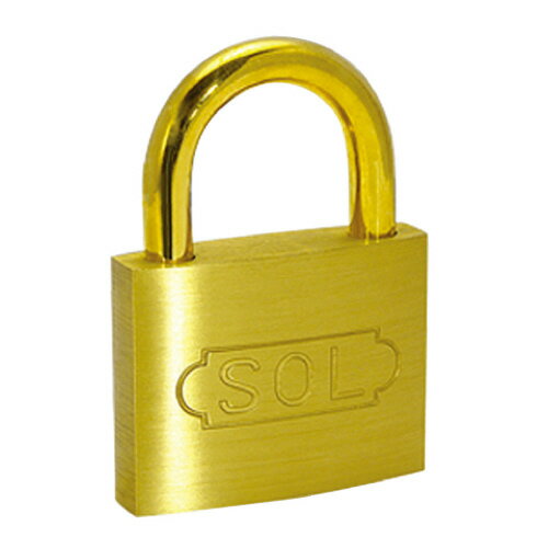 ●耐久性に優れ、様々な用途でご使用いただけます　●マイナンバーなど、重要書類の保管にも　●製品サイズ／幅38．5×奥行13．2×高さ59．9mm　●ツル部内寸／縦21×横20．4mm　●軸径／6．4mm　●質量／120g　●材質／真ちゅう（...