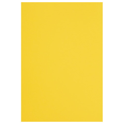 ●古紙配合紙●鮮やかな色と適度な厚みで図画工作におすすめ！●サイズ/八ツ切（392×271m）●紙厚/122g/平方メートル（約0.18mm）●100枚入り●色/みかんk6533-7363