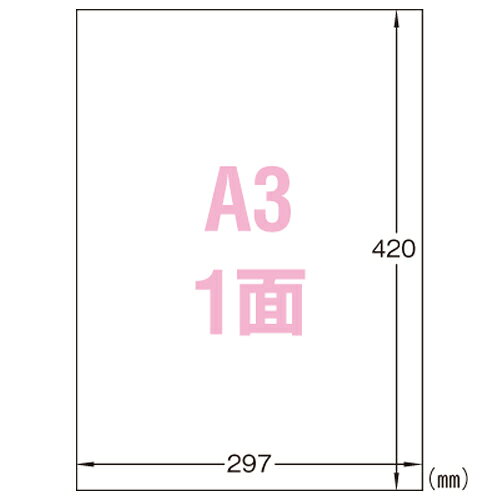 o12529