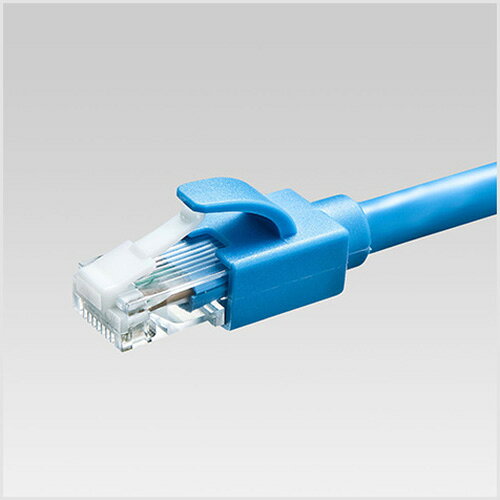 ●ケーブル長：2m●規格：カテゴリ6A（10BASE−T／100BASE−TX／1000BASE−T／1000BASE−TX／10GBASE−T）適合●単線●RJ−45ツメ折れ防止コネクタo43613