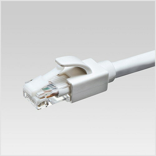 ●ケーブル長：1m●規格：カテゴリ6A（10BASE−T／100BASE−TX／1000BASE−T／1000BASE−TX／10GBASE−T）適合●単線●RJ−45ツメ折れ防止コネクタo43617