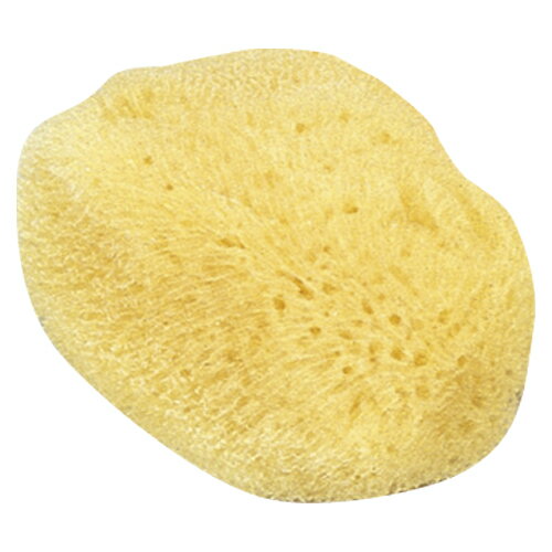 ●仕様：天然海綿大o01575