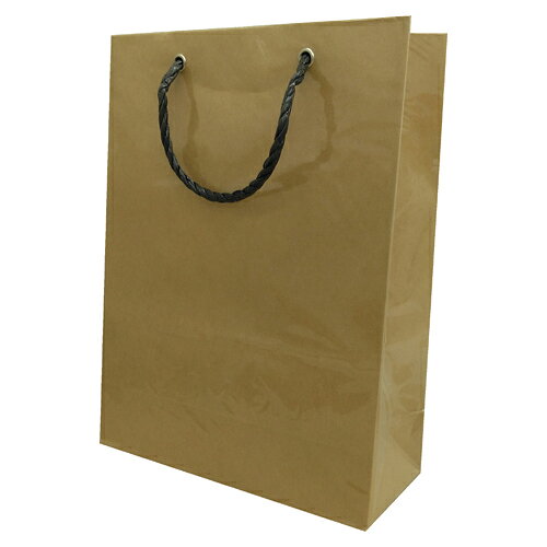 ●入数：10枚 ●本体サイズ：縦340×横250×マチ110mm●材質：未晒クラフト紙（表面ビニール被せ加工），持ち手＝PP（ハトメ付）　●外寸：縦340×横250×マチ110mm●材質：ハンドル＝PPカットロープ（ハトメ付），表面加工＝ビ...