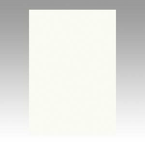 ●入数：100枚 ●本体サイズ：縦392×横271mm ●坪量：122．1g／m2o71863