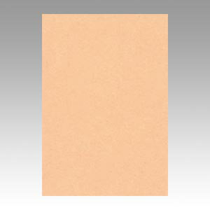 ●入数：100枚 ●本体サイズ：縦392×横271mm ●坪量：122．1g／m2o71886