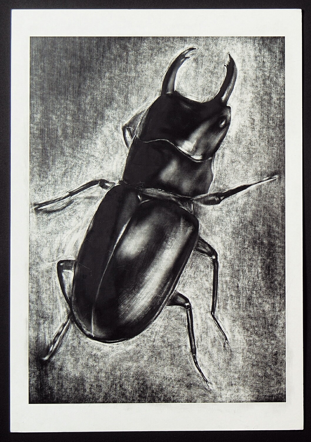 260×380×1mm消しゴムで消していくことにより、絵を仕上げていくものです。グラデーションやぼかしの技法を生かせます。PP袋入