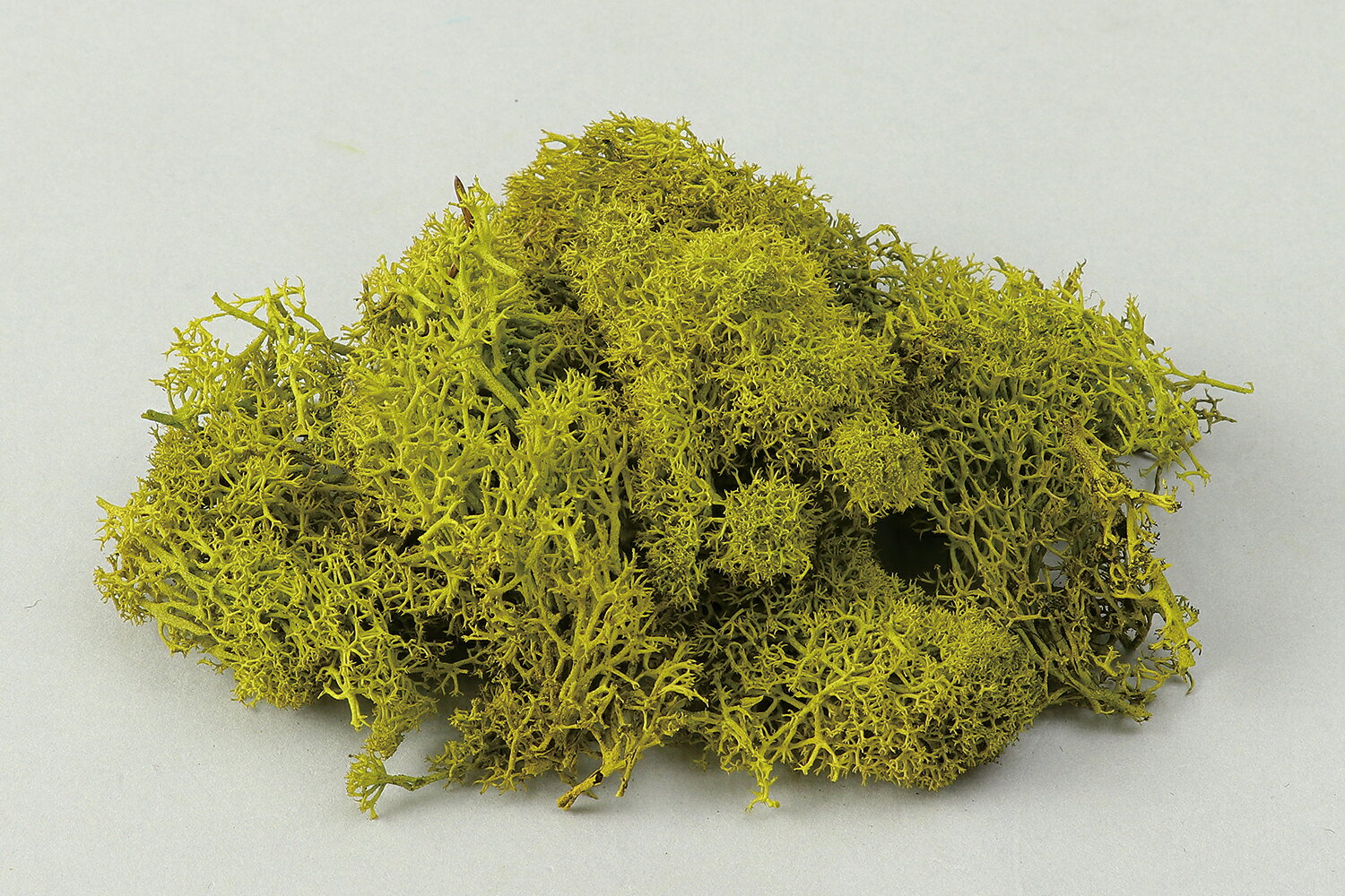 色鮮やかなプリザーブドモス商品サイズ／91×155×30mm1個重量／15g材質／苔セット内容／プリザーブドモス10g1個梱包形態／袋入り