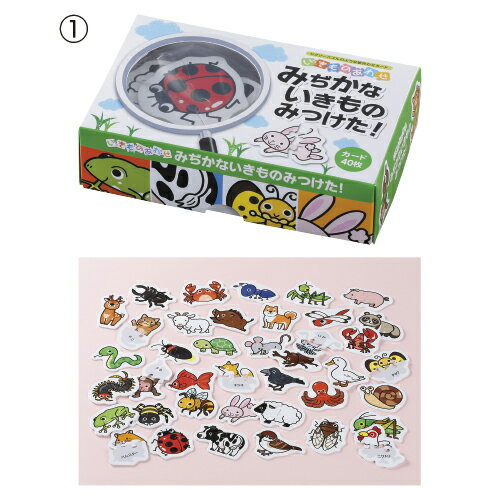 裏にはカタカナで名前が書かれた、左右のカードを合わせるパズル。●内容／40枚●サイズ／パッケージ：16.6×10.5×4.5cm●材質／紙パズル ジグソーパズルe213-234