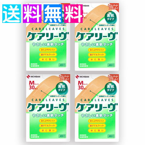 Mサイズ 21mm×70mm (パッド部:13mm×22mm） 30枚入 日本製