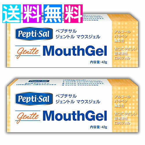 【内容量】 42g／約60～80回分 【ご使用方法】 清潔な指に適量（1cm位）をとり、口に含み、指先または舌で口内にまんべんなく薄くぬり広げてください。余分なものはふき取ってください。義歯をお使いの方にもご使用いただけます。 【成分】 水...