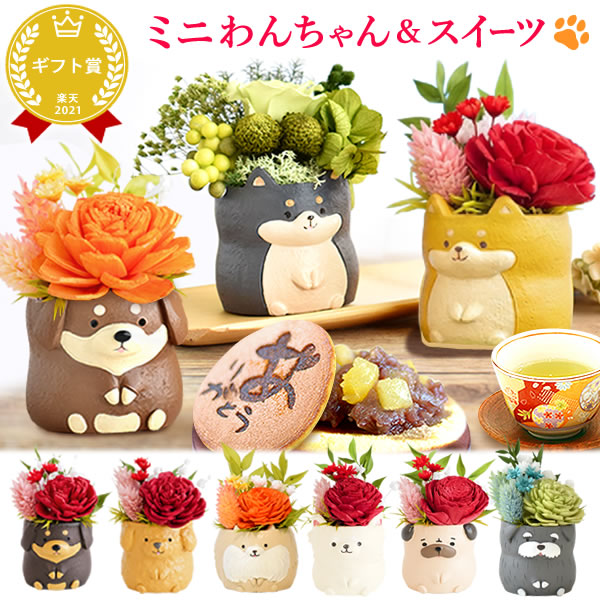 商 品 説 明 商品名(名称) 選べるミニポット★ソーラーフラワー＆どら焼き1個セット 商品内容賞味期限原材料 【ソーラーフラワー　1個】 【どら焼き　1個】賞味期限：常温で発送から約20日 芋入り餡（砂糖、小豆、さつまいもかのこ、還元水飴...