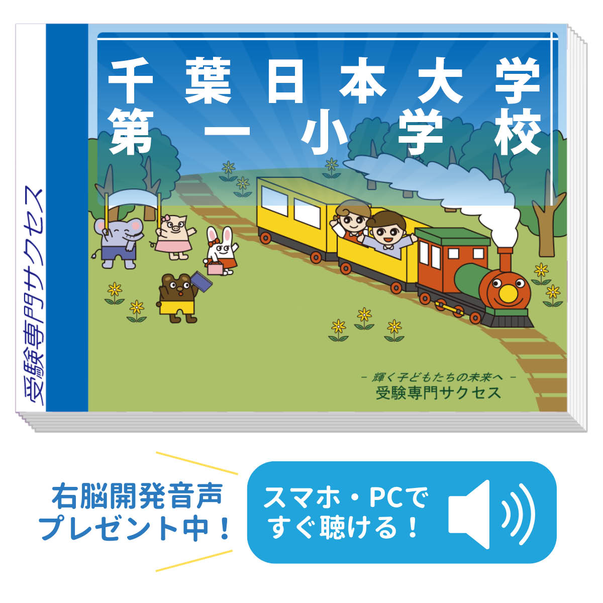 【送料・代引手数料無料】合格セットと併用で学習効果がアップ!!動画レッスン講座千葉日本大学第一小学校を目指すならこのセット！ 千葉日本大学第一小学校合格セット 千葉日本大学第一小学校受験対策として体系的にまとめた合格問題集！出題問題を徹底研...