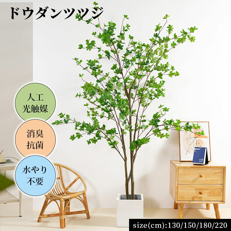 商品名観葉植物 ドウダンツツジ商品説明観葉植物ドウダンツツジは、リアルな葉を持つ人工植物で、お部屋に自然の息吹をもたらします。サイズは130cmから220cmまで選べ、どんな空間にもぴったりフィット。光触媒技術により消臭・抗菌効果もあり、清...