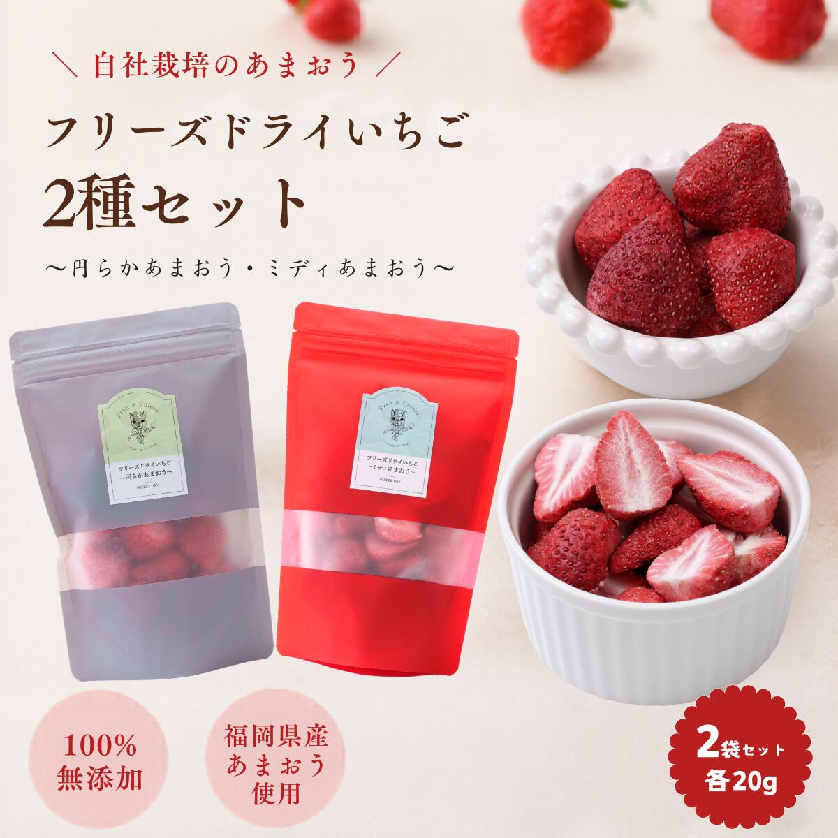 【フリーズドライいちご～円らかあまおう～ (20g)】 上品な甘酸っぱさとサクふわ食感がクセになる丸ごとフリーズドライ。 いつでもどこでも手軽にパクっと。 100%無添加、自社栽培のあまおうを真空凍結乾燥した「フリーズドライいちご～円らかあ...