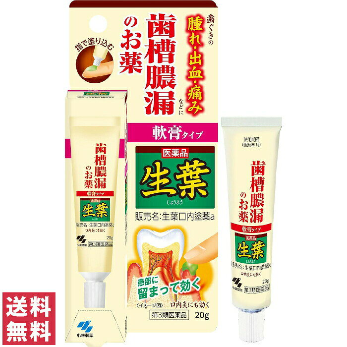 歯ぐきの腫れ・出血・痛みなどに歯槽膿漏のお薬。軟膏タイプ 歯ぐきの出血・腫れ・うみ・痛み・むずがゆさ、口臭など歯肉炎・歯槽膿漏における諸症状、口内炎に優れた効きめがあります。 高粘着性軟膏タイプなので、4つの有効成分が歯周ポケット内に長く留...