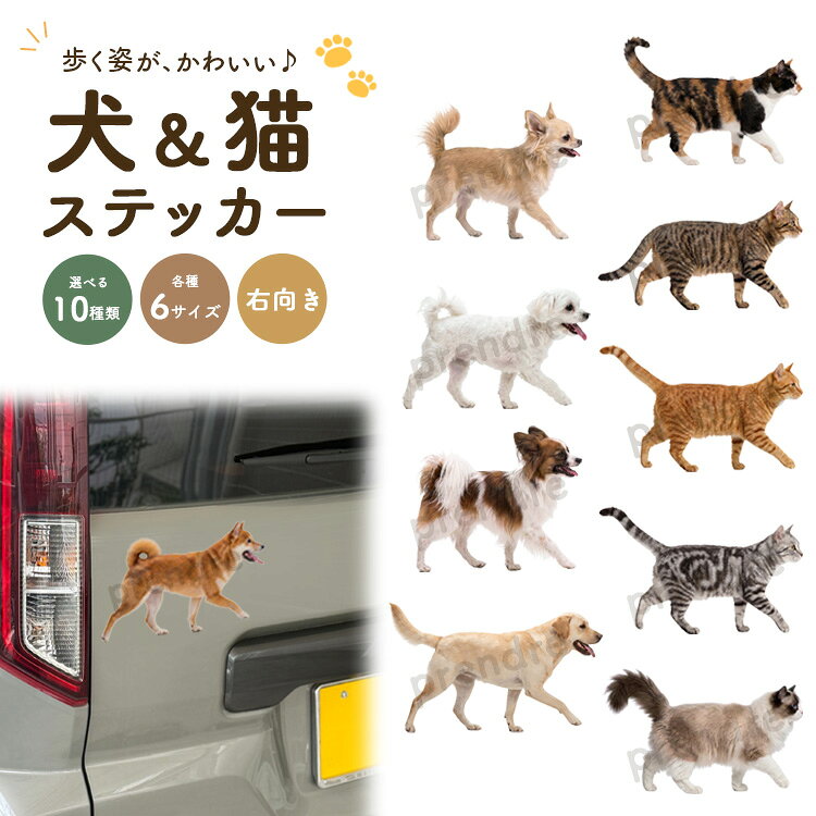 歩く姿が、かわいい♪右向き犬＆猫ステッカー うちの子みたいなステッカー 犬や猫が歩いている仕草や表情をそのままデザイン。 お気に入りの子といつでもどこでも一緒にいることができます。 まるでお散歩中♪ ペタッと貼るだけで簡単アレンジ 車やノー...