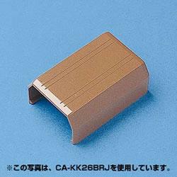 CAKK22BRJ　