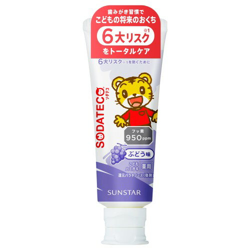 ■こどもの将来のおくち6大リスクを防ぐために。■フッ素950ppm、還元パラチノース(助剤)配合。■低研磨、低発泡、防腐剤・保存料無配合。■ぶどう味440868使用方法　●歯ブラシに適量(約5mm程度)をのせます●歯と歯ぐきをやさしくブラッ...
