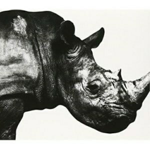 Mr.Children 1992-1995Mr.Childrenミスターチルドレン ミスチル みすたーちるどれん みすちる　発売日 : 2001年7月11日　種別 : CD　JAN : 4988061881805　商品番号 : TFCC-8...