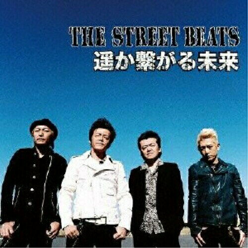 遥か繋がる未来THE STREET BEATSストリートビーツ すとりーとびーつ　発売日 : 2013年4月17日　種別 : CD　JAN : 4543034034796　商品番号 : DDCB-4001【商品紹介】2014年には結成30周...