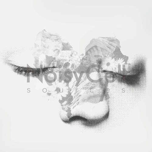 sourcesNoisyCellノイジーセル のいじーせる　発売日 : 2015年7月01日　種別 : CD　JAN : 4988021818438　商品番号 : VPCC-81843【商品紹介】NoisyCellにとって初の全国流通盤とな...