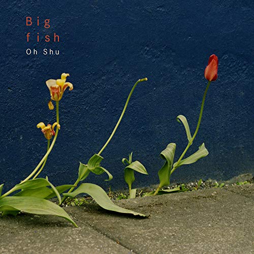 Big fish王舟オウシュウ おうしゅう　発売日 : 2019年5月22日　種別 : CD　JAN : 4544163461972　商品番号 : PECF-1171【商品紹介】前作アルバム『PICTURE』発表後、MOCKYによるリミック...
