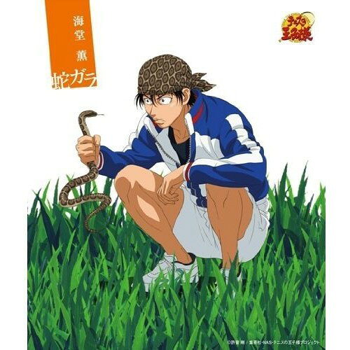 蛇ガラ海堂薫カイドウカオル かいどうかおる　発売日 : 2007年9月12日　種別 : CD　JAN : 4582243211697　商品番号 : NECA-30202【商品紹介】TV:TX系アニメ『テニスの王子様』から、12人目となるアル...