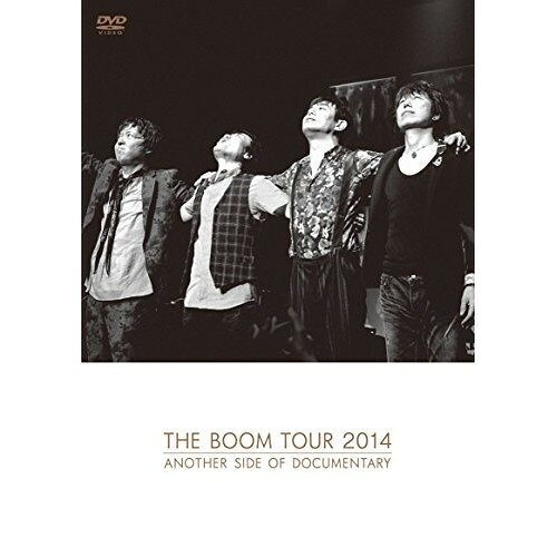 THE BOOM TOUR 2014 ANOTHER SIDE OF DOCUMENTARYTHE BOOMブーム ぶーむ　発売日 : 2015年12月02日　種別 : DVD　JAN : 4571487562054　商品番号 : YRBN...