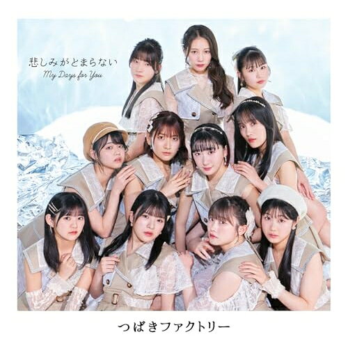 My Days for You/悲しみがとまらない (CD+Blu-ray) (初回生産限定盤B)つばきファクトリーツバキファクトリー つばきふぁくとりー　発売日 : 2025年6月04日　種別 : CD　JAN : 49424637928...