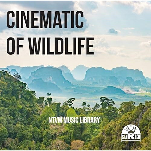 NTVM Music Library CINEMATIC OF WILDLIFEBGV　発売日 : 2025年6月25日　種別 : CD　JAN : 4988021872010　商品番号 : VPCD-87201【商品紹介】放送番組の制作及...