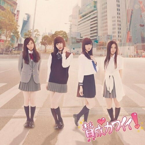 賛成カワイイ! (CD+DVD) (初回生産限定盤/Type-A)SKE48エスケイイーフォーティーエイト えすけいいーふぉーてぃーえいと　発売日 : 2013年11月20日　種別 : CD　JAN : 4988064488452　商品番号...