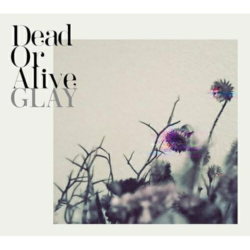 Dead Or Alive (CD+DVD)GLAYグレイ ぐれい　発売日 : 2025年12月03日　種別 : CD　JAN : 4524135278913　商品番号 : PCCN-90011【商品紹介】GLAY、通算63枚目のシングルを...
